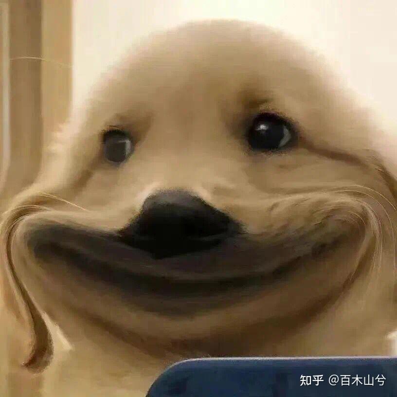 表情包 | 呆住 - 知乎