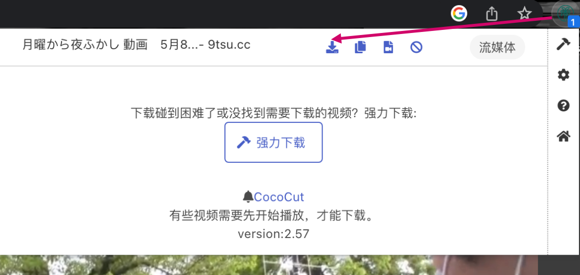 CocoCut：下载网页视频 - 知乎
