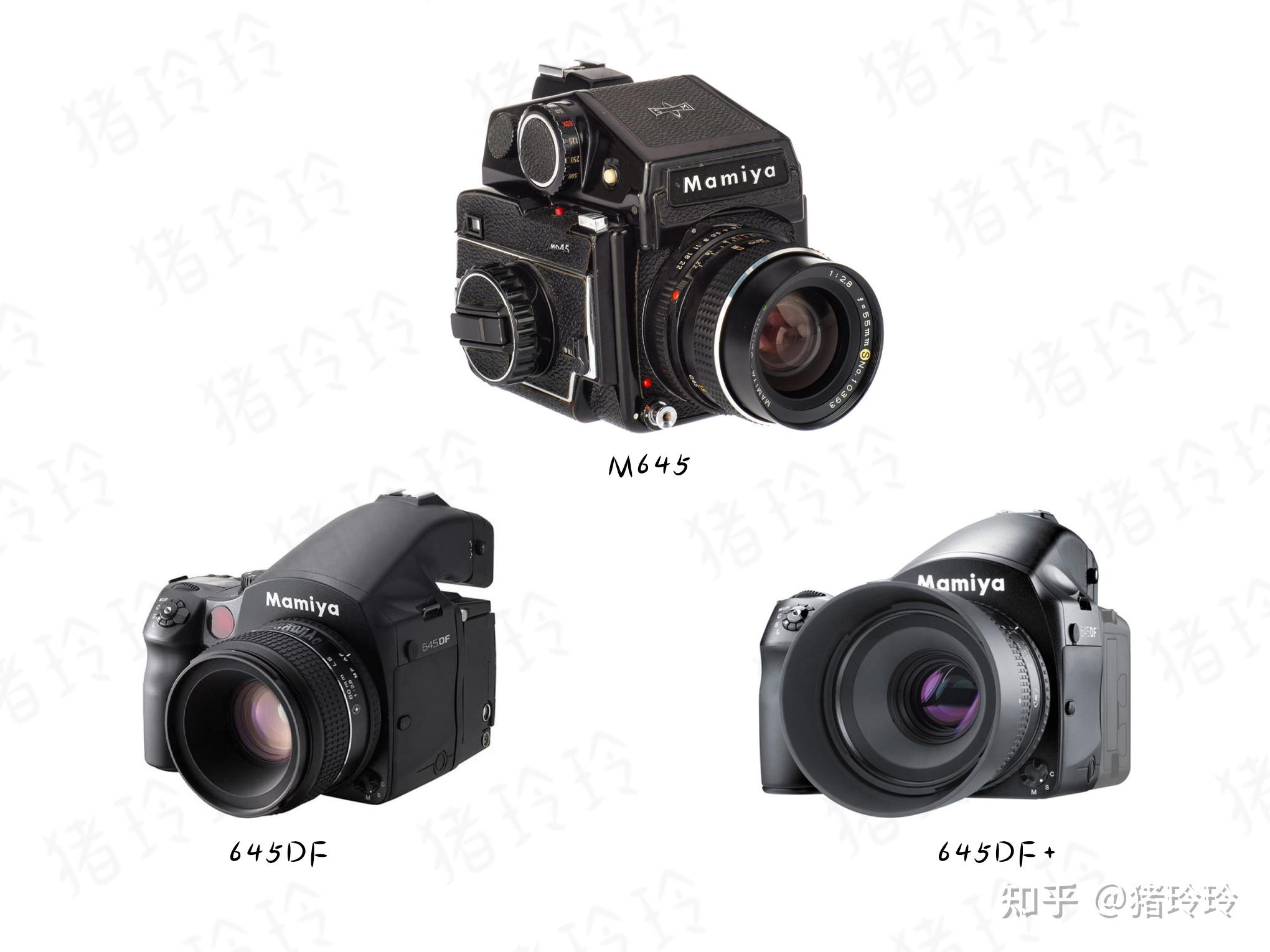 中画幅数码相机大集合，让你一次过看全中画幅数码相机 - 知乎