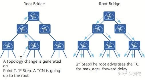 一文搞懂STP（从原理到配置） - 知乎