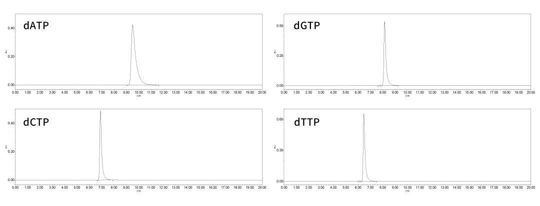 分子生物学级dNTP（脱氧核糖核苷酸），守护您的每一次PCR反应！ - 知乎