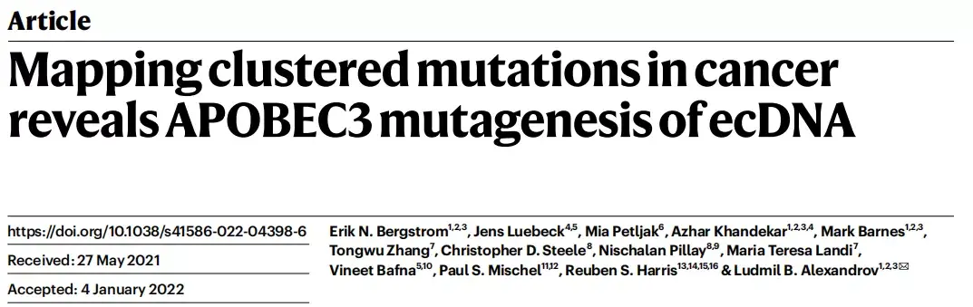 Nature | 染色体外DNA的APOBEC3突变与癌症相关 - 知乎