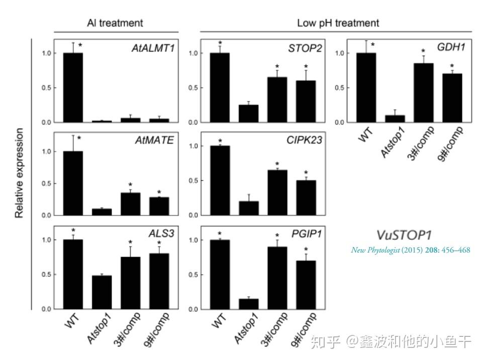 抗酸性土壤铝毒害的关键转录因子——STOP1 - 知乎