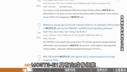 MC3T3-E1细胞培养，小鼠胚胎成骨细胞前体细胞培养攻略-丰晖生物 - 知乎