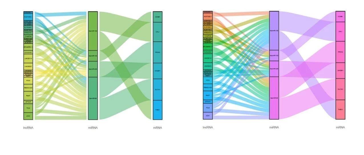 如何用ggalluvial绘制ceRNA网络图？ - 知乎