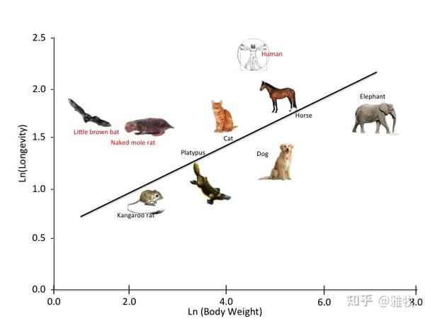 长寿动物优势基因分析 - 知乎