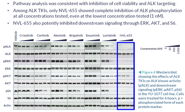 2023AACR丨肺癌，靶向免疫治疗最新进展汇总 - 知乎