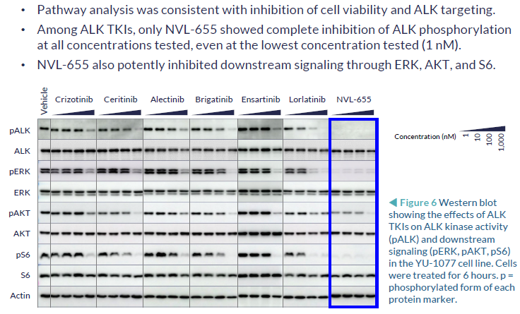 2023AACR丨肺癌，靶向免疫治疗最新进展汇总 - 知乎