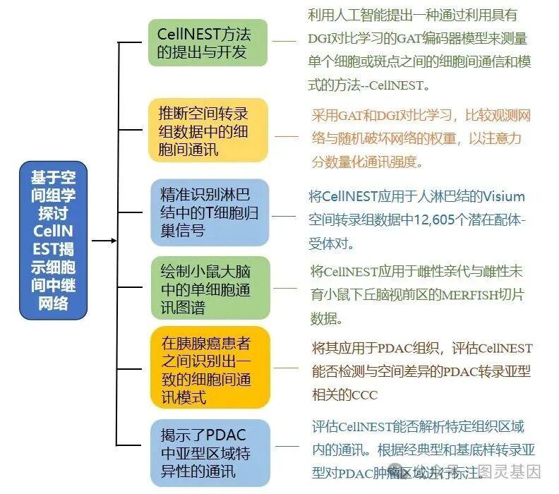 Nat Methods | 基于空间组学探讨细胞通讯：CellNEST揭示细胞间中继网络 - 知乎