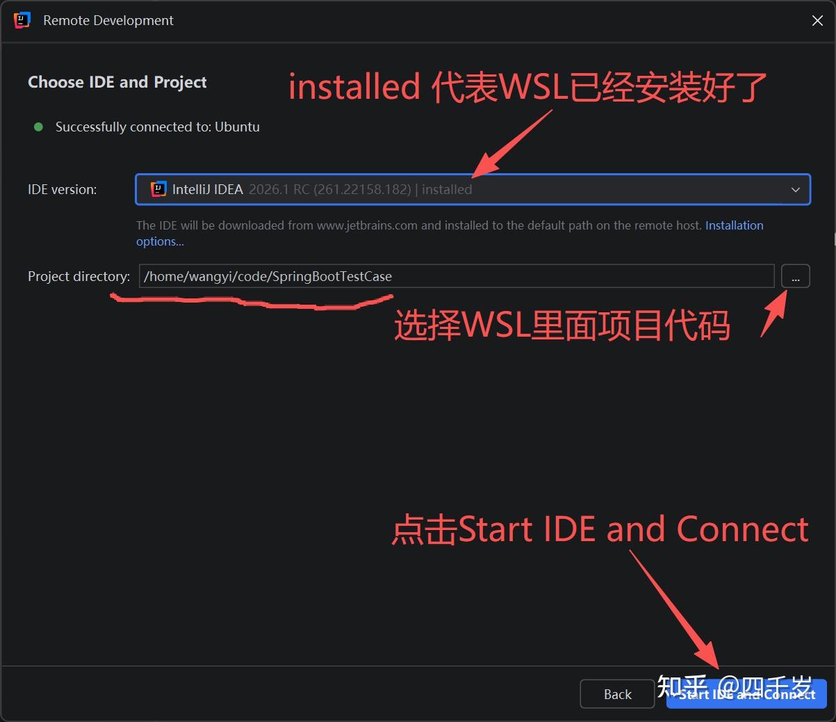 踩坑无数总结：IDEA+WSL 连接、配置、运行全攻略 - 知乎