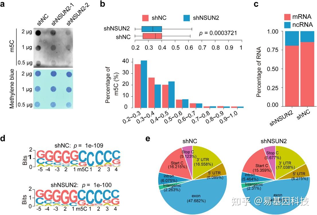 易基因：多组学测序分析揭示m5C甲基化上调E2F1表达以促进卵巢癌肿瘤进展｜Nature子刊 - 知乎