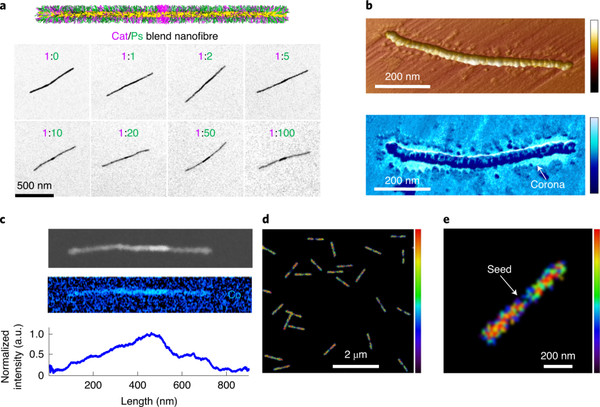 Ian manners院士再发《Nature》子刊：自组装纳米纤维，成就史上最高效率光催化产氢高分子体系！ - 知乎