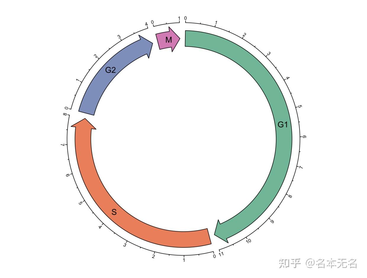 R 数据可视化 —— circlize 图形 - 知乎