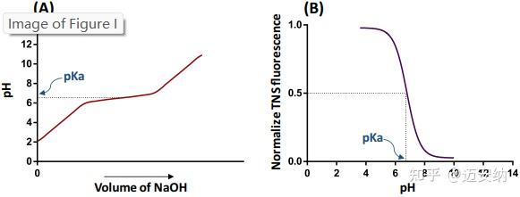 表观PKa在包裹siRNA和mRNA的纳米粒子研制中的重要性 - 知乎