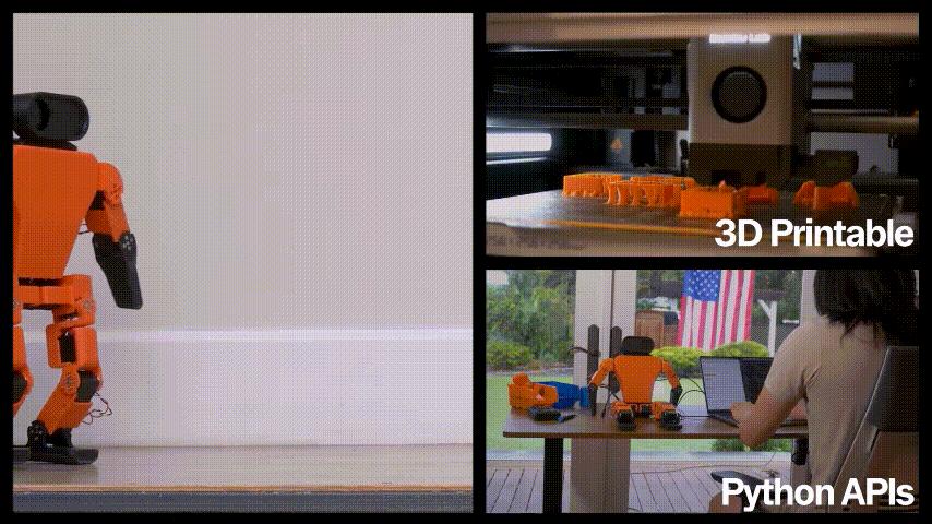 Zeroth 01 Bot - 知乎