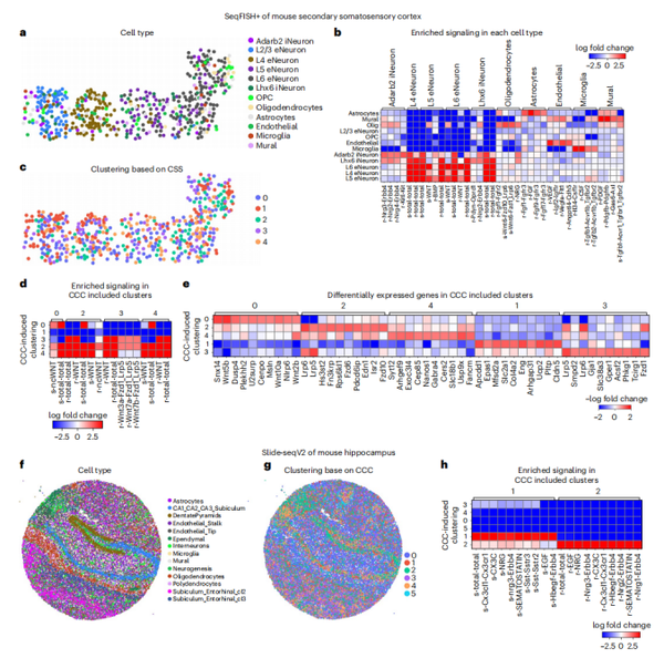 Nat Methods | COMMOT：用于推断空间细胞通讯的方法 - 知乎