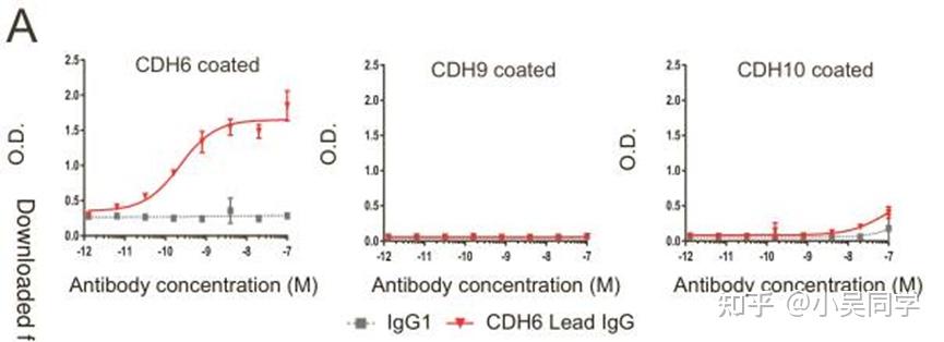 CDH6靶点进展：HKT288鹿死临床，DS-6000孤勇前行 - 知乎