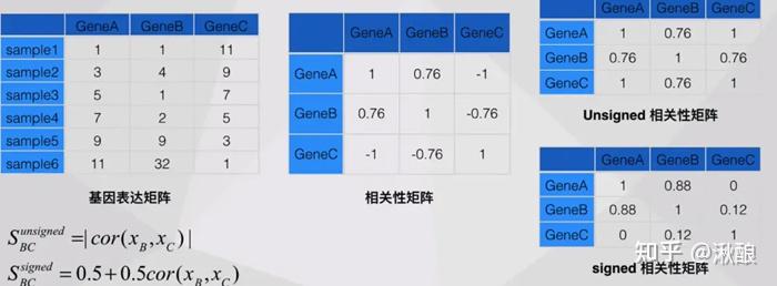 WGCNA的步骤和原理 - 知乎