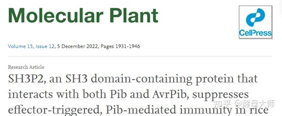 MOL PLANT|福建农林大学研究团队揭示SH3P2 可与Pib和AvrPib 相互作用，抑制水稻中效应子触发的 Pib介导的免疫力 - 知乎