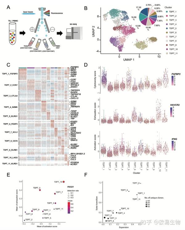 一区顶刊:国家肝癌中心用多组学技术解析双阳性细胞轨迹和特征 - 知乎