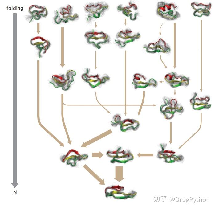 27《Protein Actions Principles and Modeling》-《蛋白质作用原理和建模》中文分享 - 知乎
