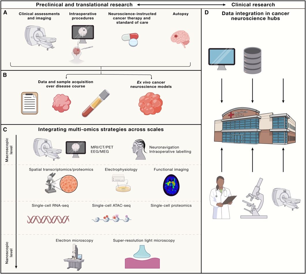 Cell综述：从神经科学的角度研究癌症—归研究现状和未来发展方向 - 知乎