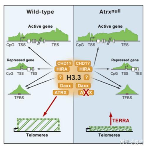 投稿 | Cell Press：4个案例教会你制作图形摘要！ - 知乎