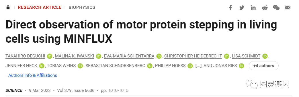 Science | 用世界最高分辨率光学显纳镜MINFLUX直接观察活细胞中的马达蛋白步进 - 知乎
