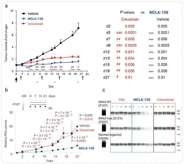一文读懂 KRAS- MedChemExpress - 知乎