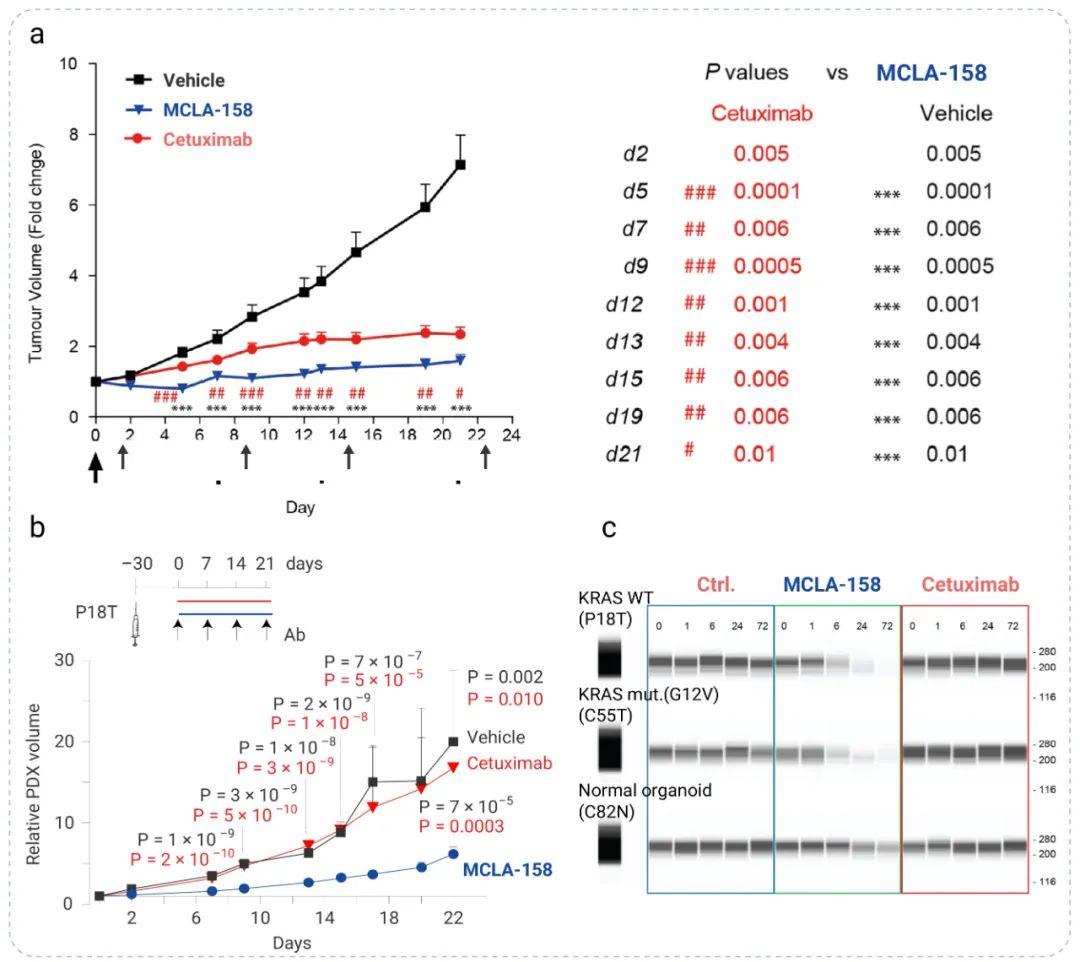 一文读懂 KRAS- MedChemExpress - 知乎