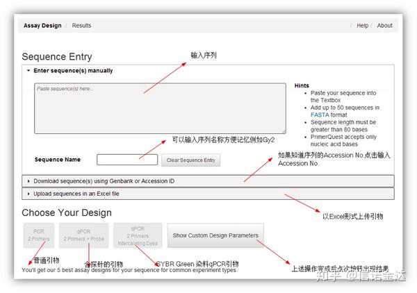 [技能分享]qRT-PCR实验及数据分析 - 知乎