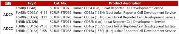 ADCC/ADCP功能验证用细胞株新品上市，助力细胞水平Fc功能验证 - 知乎