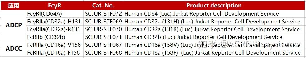 ADCC/ADCP功能验证用细胞株新品上市，助力细胞水平Fc功能验证 - 知乎
