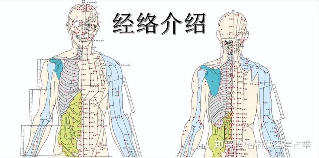 经络不通百病生,简单两味药,活血化瘀通经,打通一身瘀堵 知乎