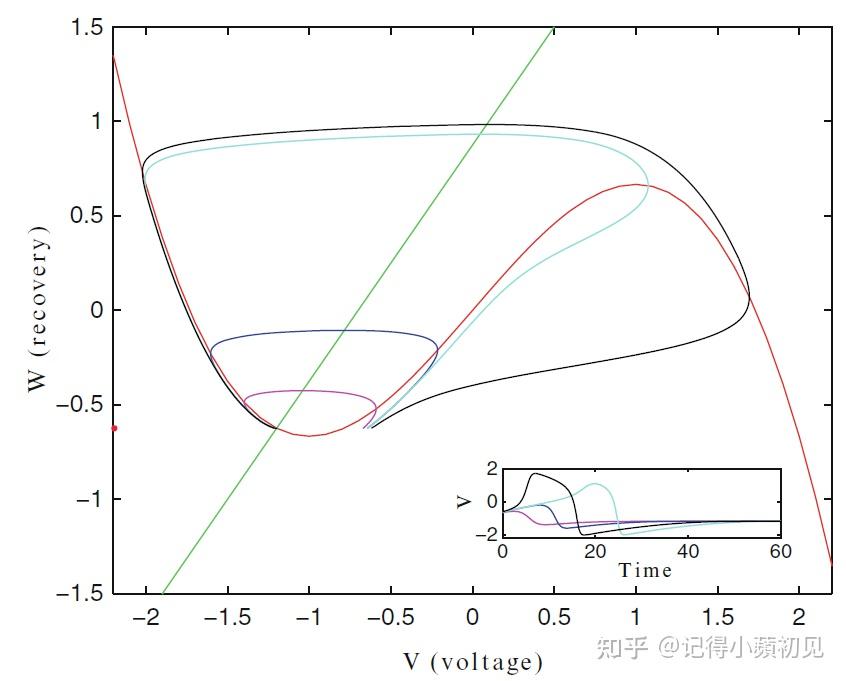 HH方程的简化版本 - FHN模型：动力学特性与相平面分析 - 知乎