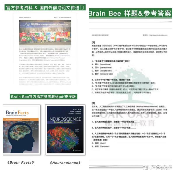脑科学竞赛brainbee需要怎么准备？