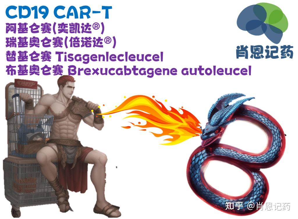 记住所有FDA生物药 | 4款CD19 CAR-T | 阿基仑赛、瑞基奥仑赛、替基仑赛，布基奥仑赛 | 大B细胞淋巴瘤 - 知乎