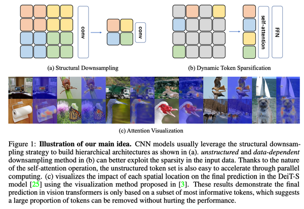 Nips2021 Dynamicvit Efficient Vision Transformers With Dynamic Token Sparsification 知乎
