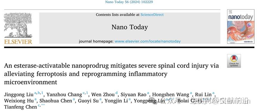 Nano Today: 酯酶激活型纳米前药通过抑制铁死亡和重塑炎症微环境用于脊髓损伤治疗 - 知乎