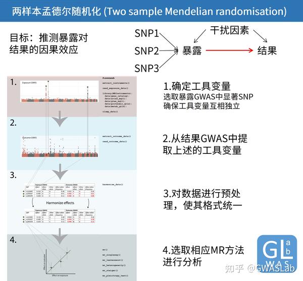孟德尔随机化系列之二：两样本MR - TwoSampleMR - 知乎