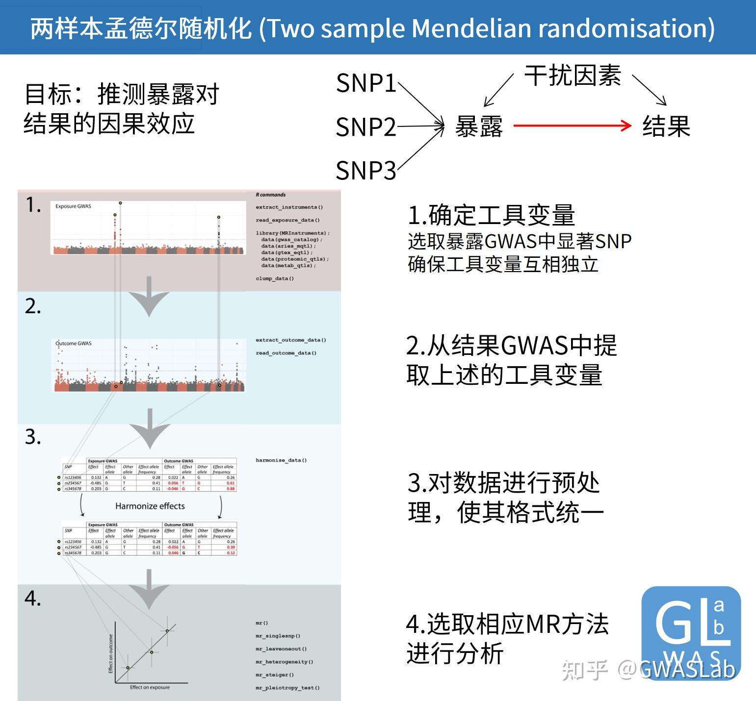 孟德尔随机化系列之二：两样本MR - TwoSampleMR - 知乎