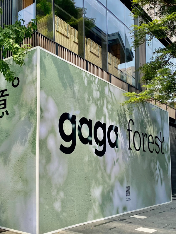 Gaga品牌的崛起：从街角茶馆到国际舞台 - 知乎