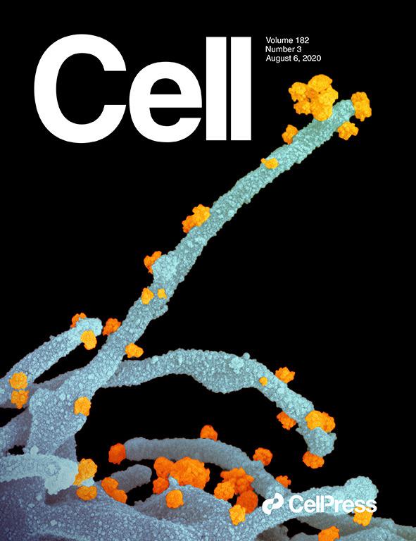 科学与艺术的结合！《CELL》100+张期刊封面鉴赏｜2020年篇 - 知乎