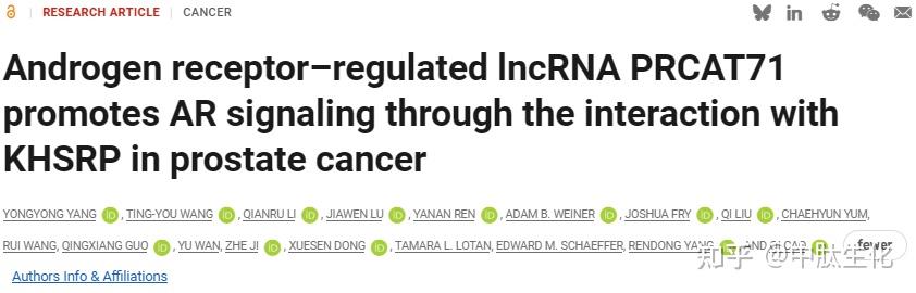 Sci Adv：一种新的长链非编码RNA可能成为前列腺癌的治疗靶点 - 知乎