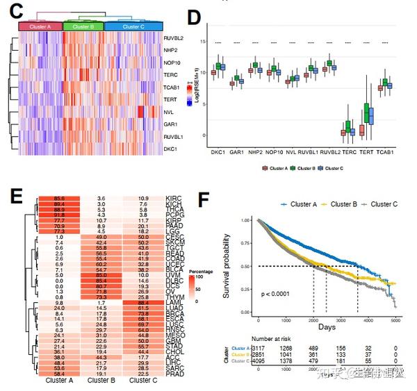 7+SCI，端粒基因集泛癌生信，对热点基因集进行泛癌分析，可以反复发高分！ - 知乎