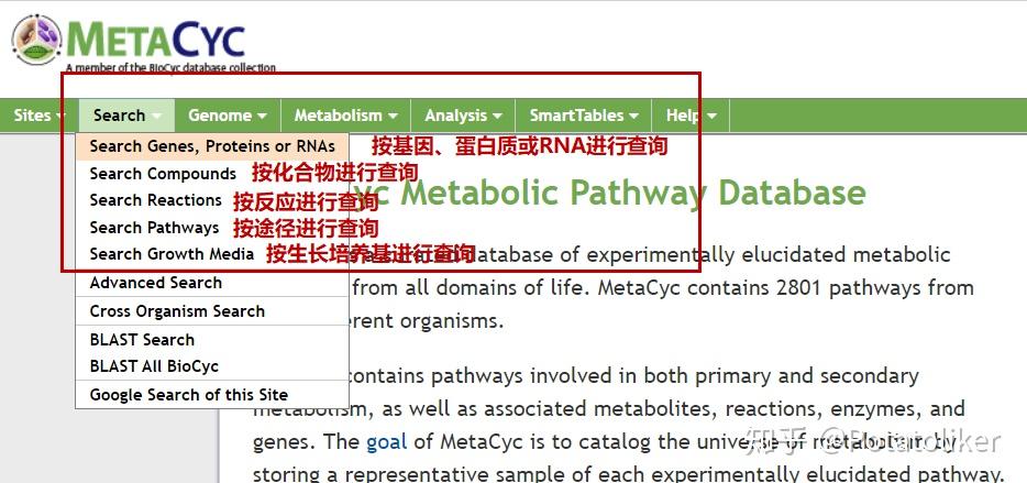 MetaCyc数据库学习笔记——简介及查询方法 - 知乎