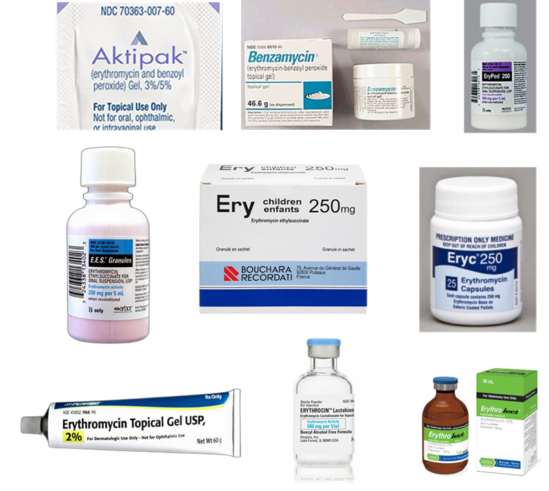 大环内酯（Macrolides）类抗生素药物综述 - 知乎