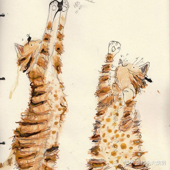 【Catherine Rayner】插画家、作家作品欣赏 - 知乎