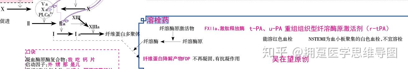 抗血小板药、抗凝药和溶栓药的区别和联系解惑必备 知乎