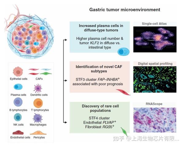 GeoMx® Digital Spatial Profiler（DSP）——探索肿瘤免疫微环境的利器 - 知乎